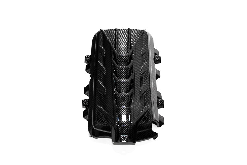 Paragon Performance C8 Corvette E-Ray Carbon Fiber Engine Cover – C8 ...